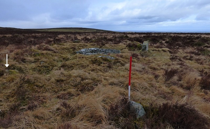 Grimslake Cist, Devon | Megalithic Portal