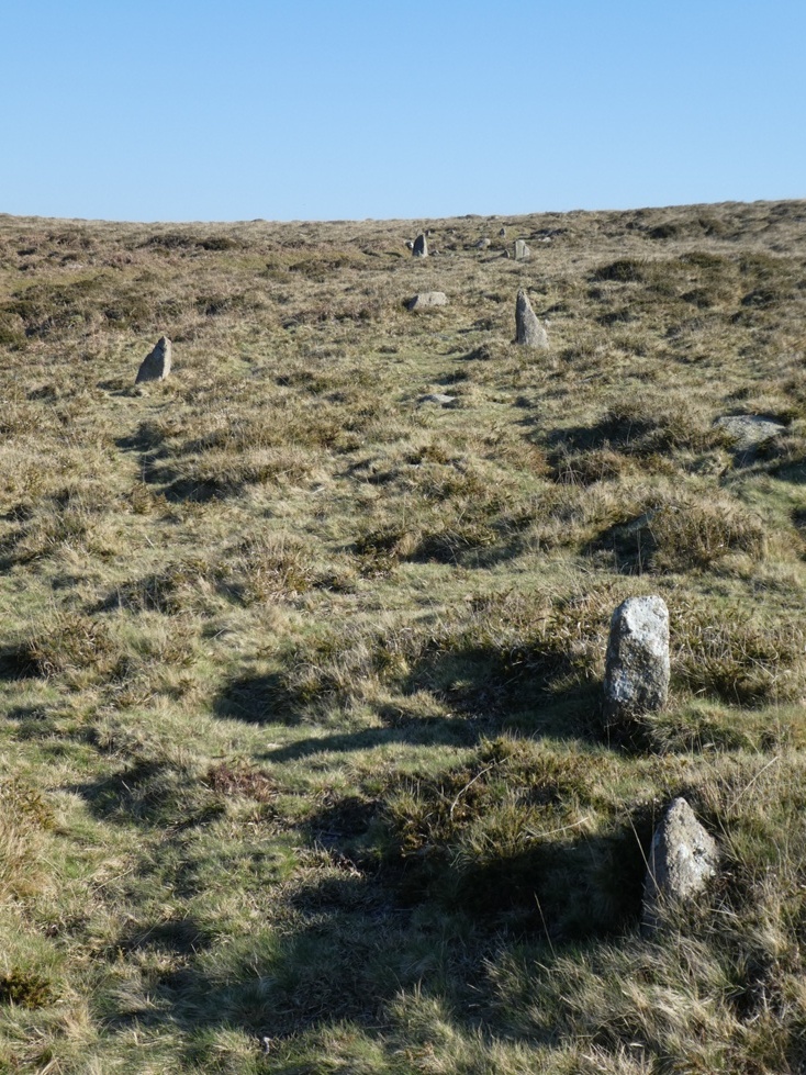 Yar Tor NW [Lethbridge Corndon Triple Row] Multiple Stone Rows / Avenue ...