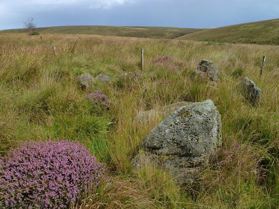 Dendles Waste, Devon | Megalithic Portal