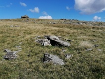 Crow Tor, Devon | Megalithic Portal