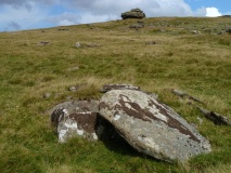Crow Tor, Devon | Megalithic Portal