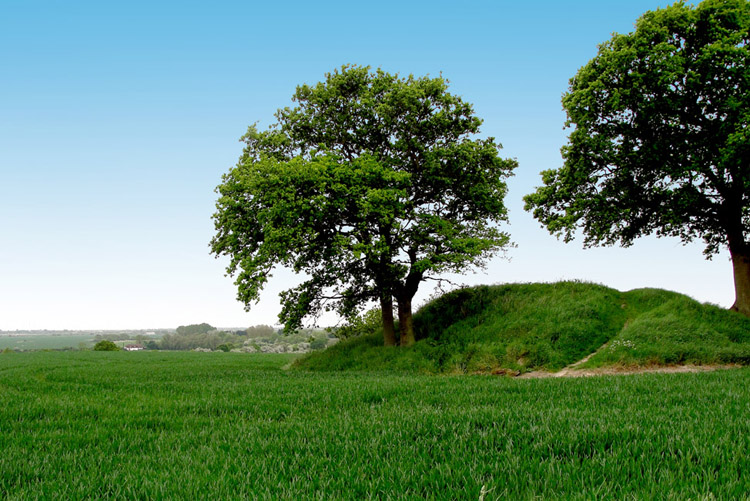 Appledore Round Barrow Round Barrow(s) : The Megalithic Portal and ...