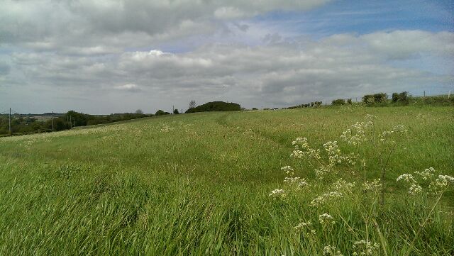 Breach Downs Barrows, Kent | Megalithic Portal