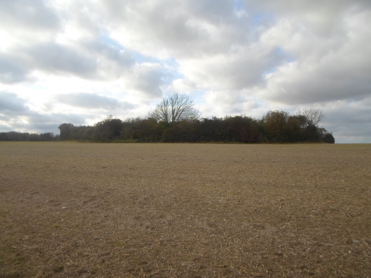 Ringwould Barrows Round Barrow(s) : The Megalithic Portal and Megalith Map:
