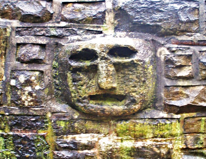 Bacup Natural History Society Museum Gallery : The Megalithic Portal ...
