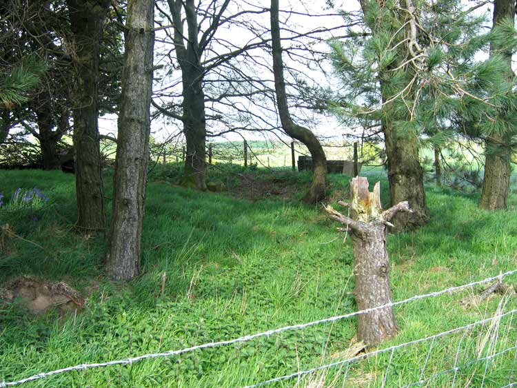 Little Painley [Castle Haugh Barrow] Round Barrow(s) : The Megalithic ...