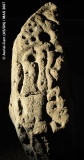 The Calderstones, Merseyside | Megalithic Portal