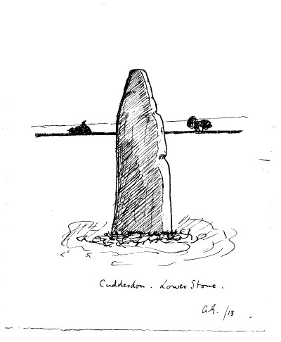Cuddesdon Stones Lower Gallery : The Megalithic Portal and Megalith Map: