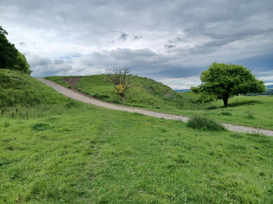 Sinodun Camp [Wittenham Clumps, Castle Hill, Sinodun Hills, Round Hill ...