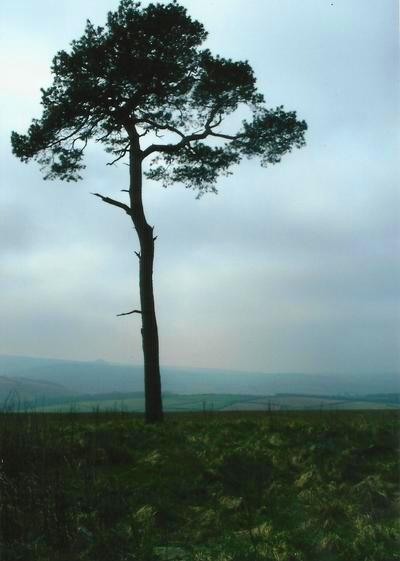 Pen-Y-Wern Hill, Shropshire | Megalithic Portal