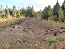 Nesscliffe, Shropshire | Megalithic Portal