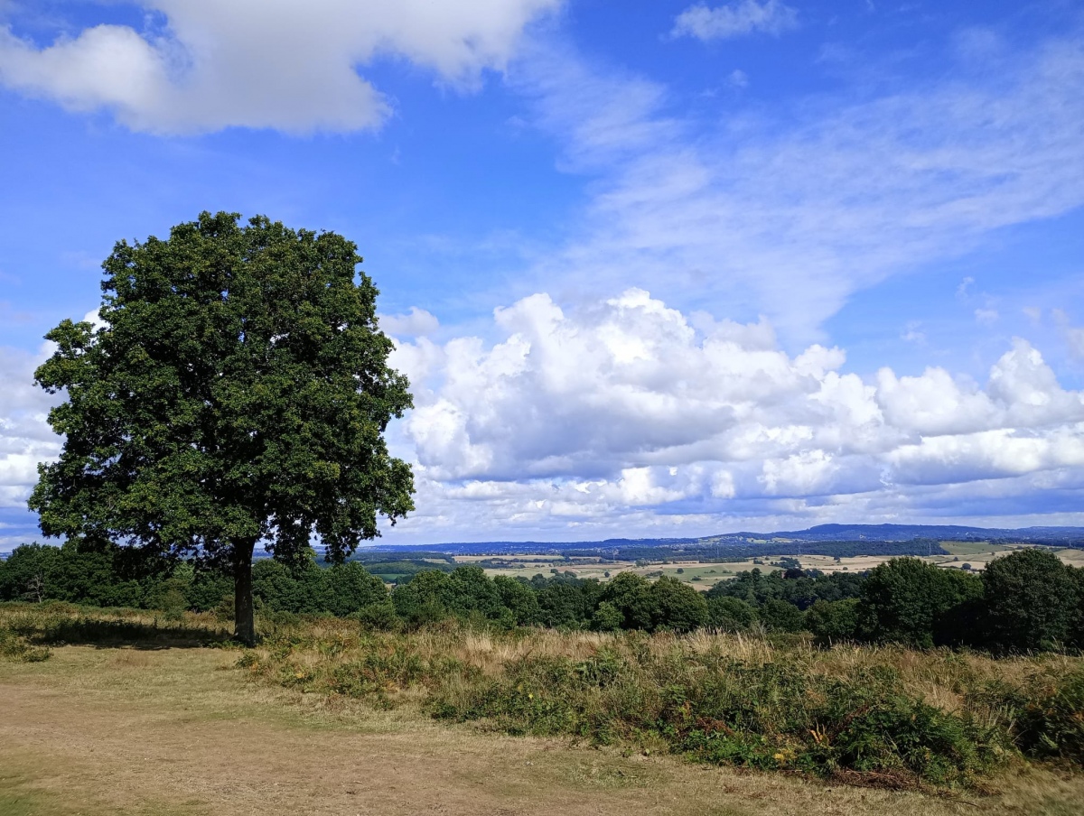 Kinver, Staffordshire | Megalithic Portal
