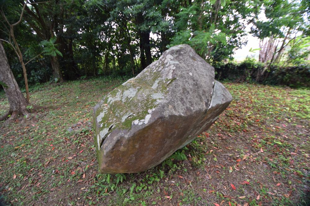 Boma carving [母間線刻画 Buma-no-Senkokuga] Carving : The Megalithic Portal ...