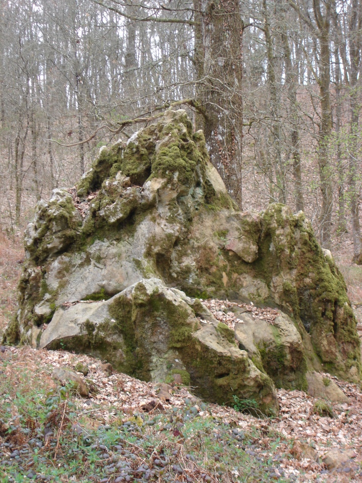 Le Roc Pointu de Capdrot, Aquitaine:Dordogne (24) | Megalithic Portal