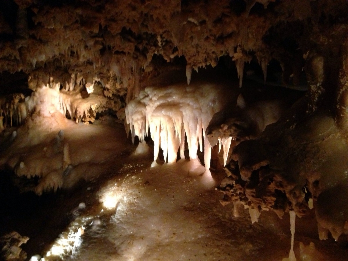 Grotte de Grand Roc Cave or Rock Shelter : The Megalithic Portal and ...