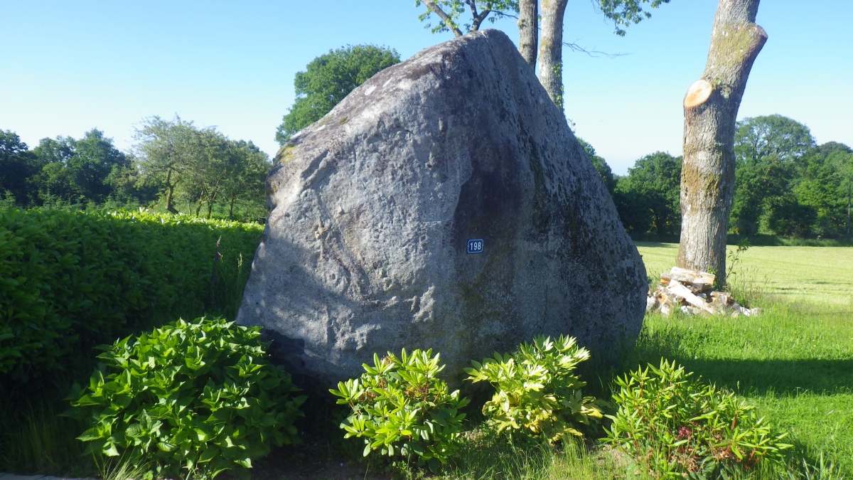 Menhirs de Kernombre Standing Stones : The Megalithic Portal and ...