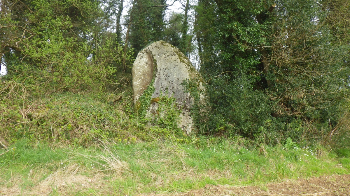 Menhir de Perfaux E, Bretagne:Côtes-D'Armor (22) | Megalithic Portal