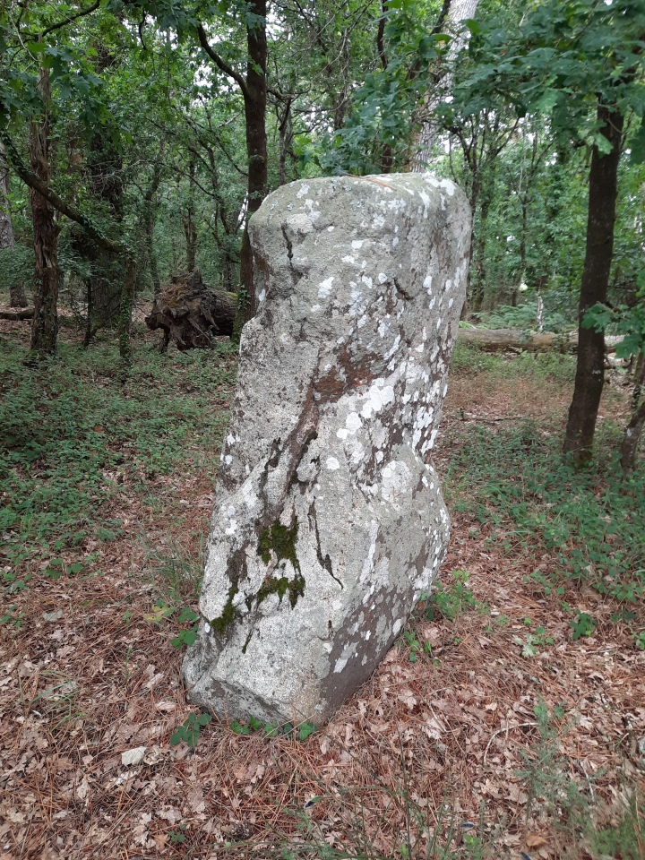 Menhir dit Er-Roh 2 [Er-Roh (B), Clos Pernel (B)] Standing Stone ...