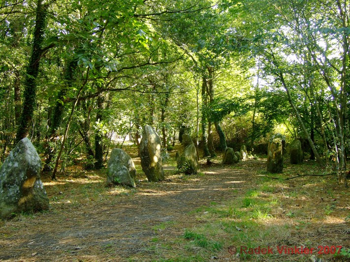Le Petit Ménec [Petit-Ménec Alignements] Multiple Stone Rows / Avenue ...