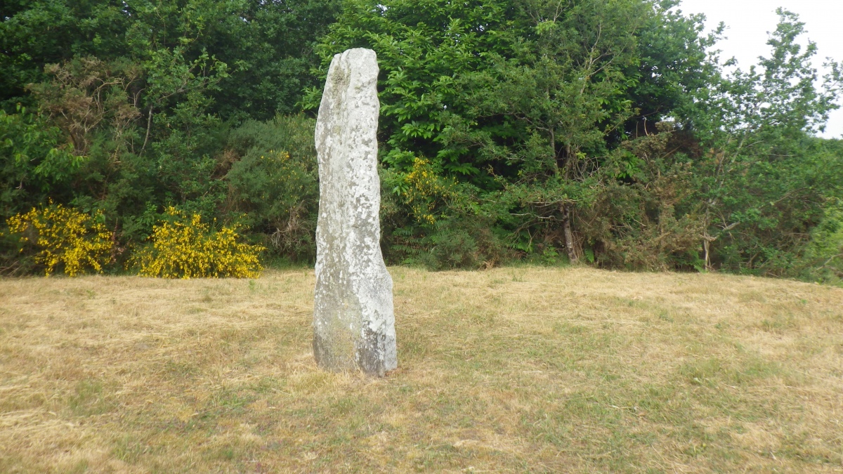 Menhir du tumulus du Moustoir Standing Stone (Menhir) : The Megalithic ...