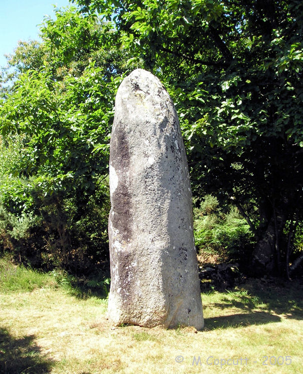 Kerara Menhir [Menhir de Kerara] Standing Stone (Menhir) : The ...
