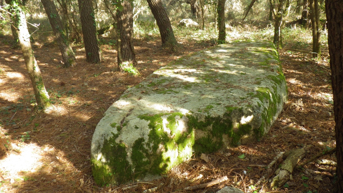 Menhir de Men Plat Standing Stone (Menhir) : The Megalithic Portal and ...