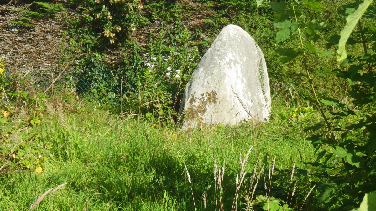 Menhir de la Fontaine (Plozévet) Standing Stone (Menhir) : The ...