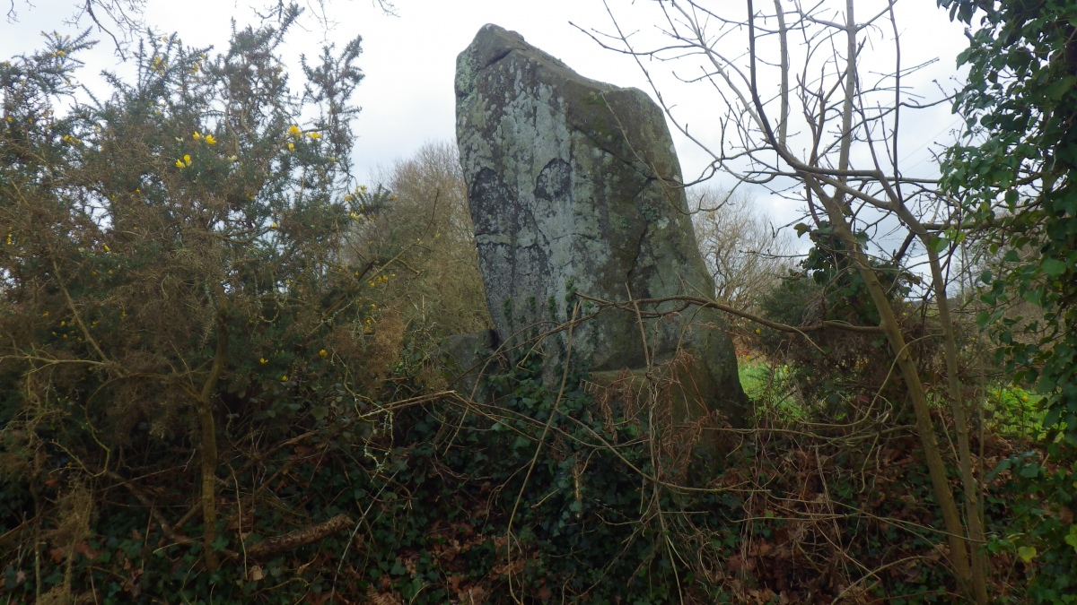 Menhir de Traon-Bihan [Kermarval] Standing Stone (Menhir) : The ...