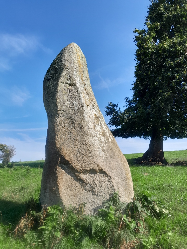 Menhir du Gué Blandin, Pays de la Loire:Mayenne (53) | Megalithic Portal