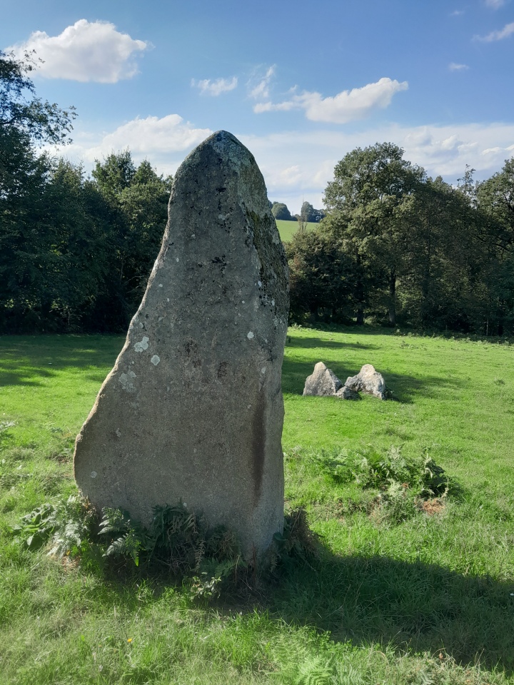 Menhir du Gué Blandin, Pays de la Loire:Mayenne (53) | Megalithic Portal