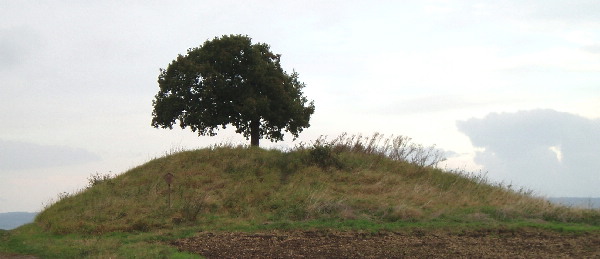 Galgenberg von Klein Vahlberg Artificial Mound : The Megalithic Portal ...