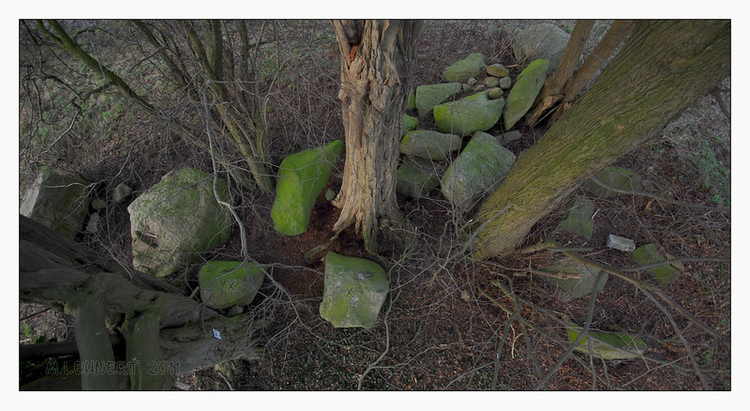 Hoststeine [Großsteingrab Engter, Sprockhoff 899] Chambered Tomb : The ...