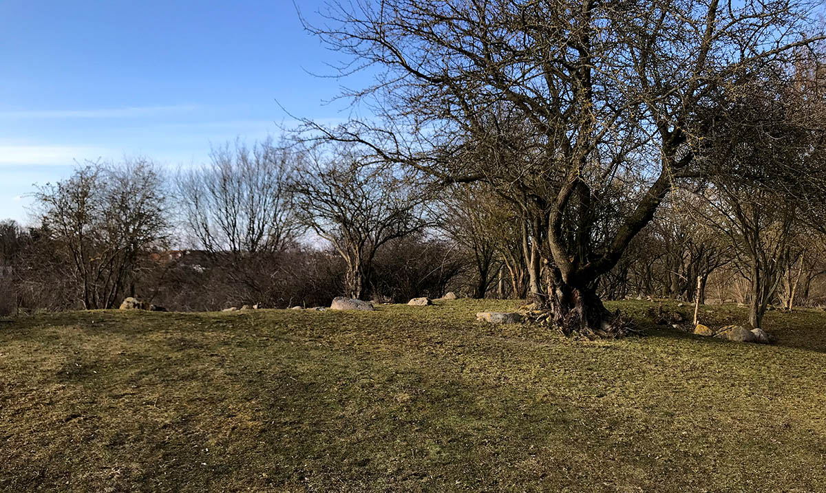 Steingrab Möllenhagen, Mecklenburg-Western Pomerania | Megalithic Portal