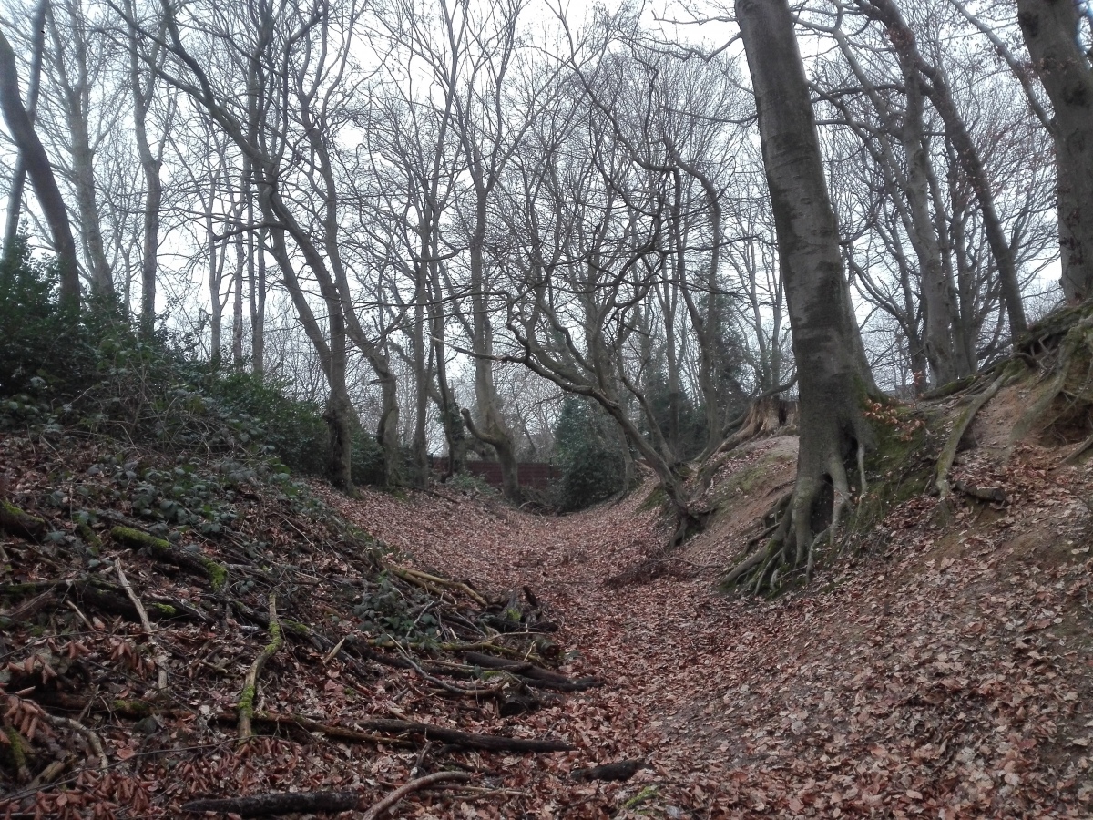 Vryburg, North Rhine-Westphalia | Megalithic Portal