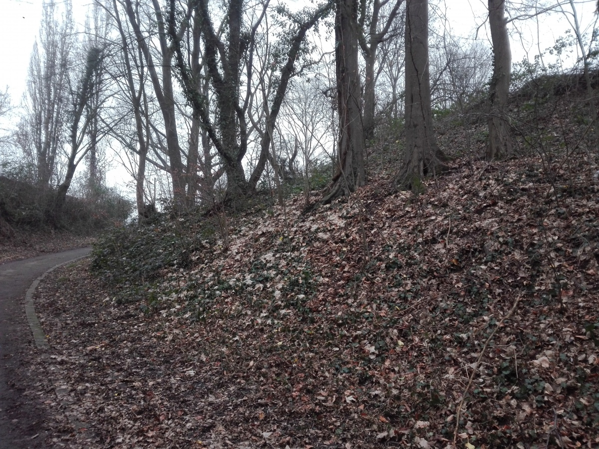 Vryburg, North Rhine-Westphalia | Megalithic Portal