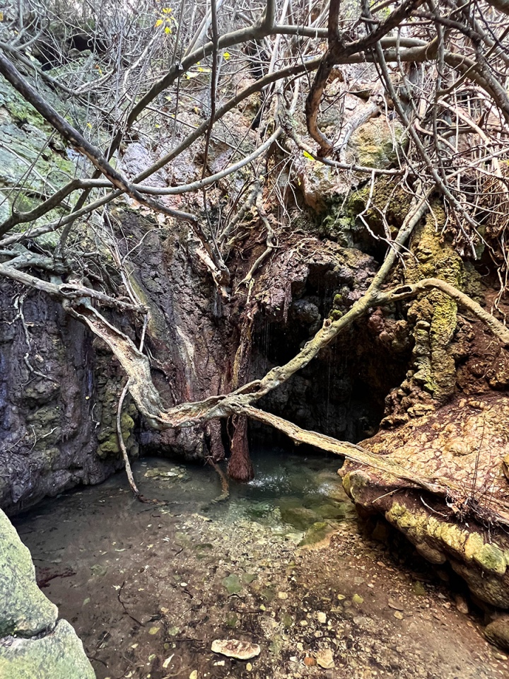Baths of Aphrodite [Aphrodite's Pool] Holy Well or Sacred Spring : The ...