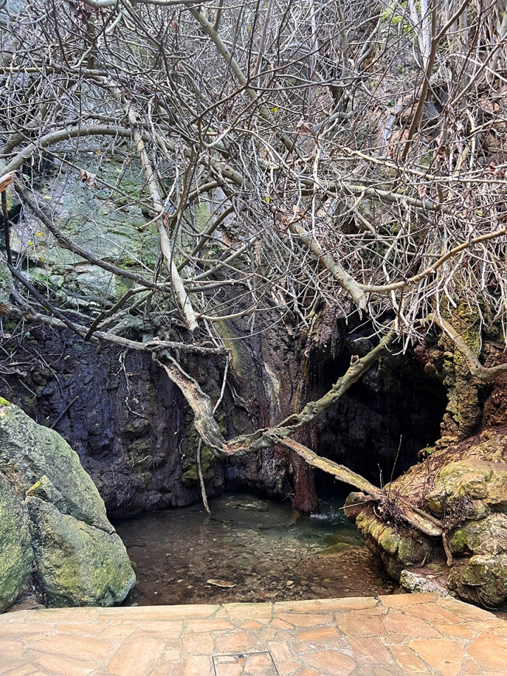 Baths of Aphrodite [Aphrodite's Pool] Holy Well or Sacred Spring : The ...