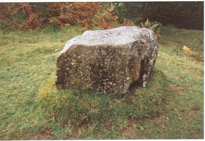 Glen Roy Chalice Stone Rock Art : The Megalithic Portal and Megalith Map: