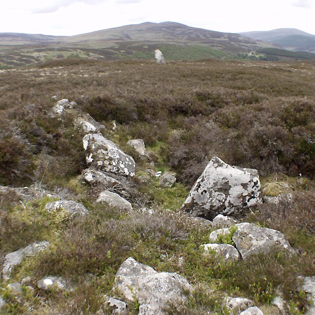 Learable Hill, Highlands | Megalithic Portal