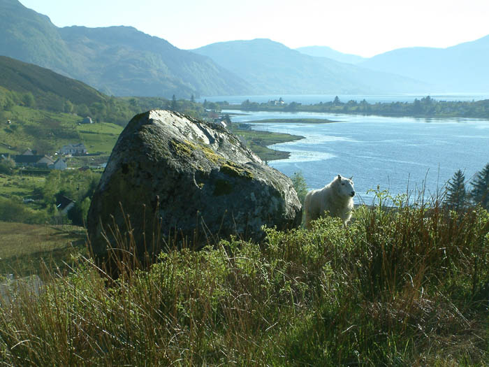 Bard's Castle Hillfort : The Megalithic Portal and Megalith Map: