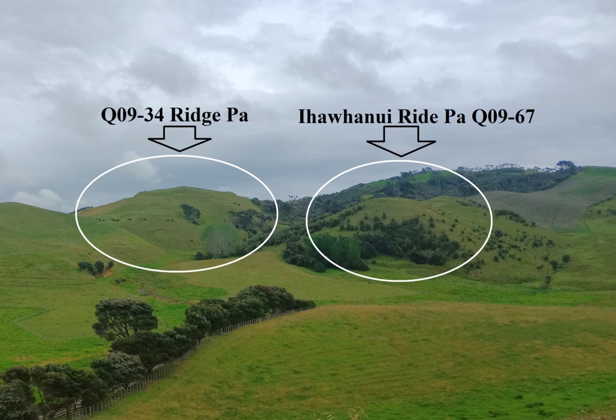 Ihawhanui Ridge Pa | Megalithic Portal