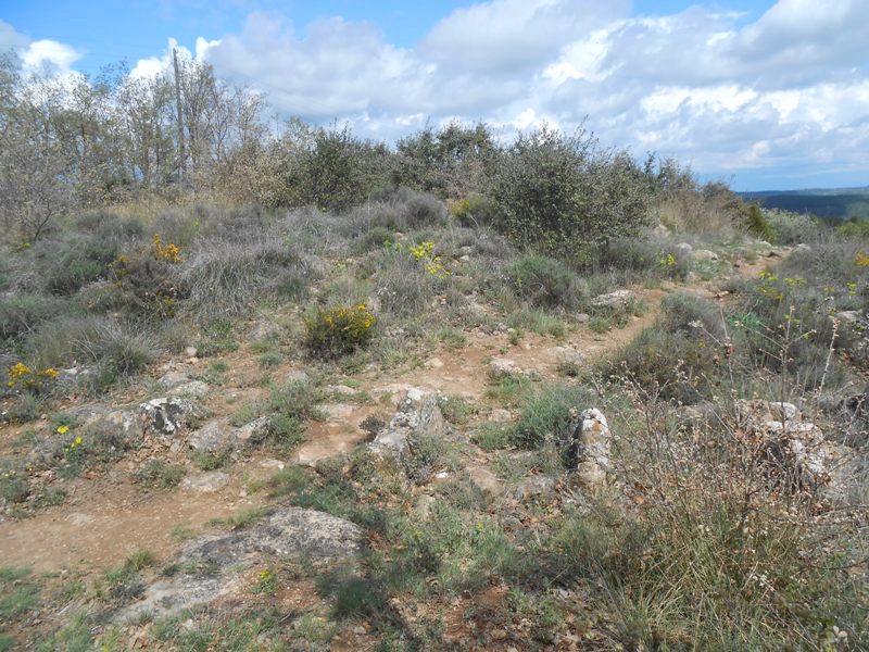 Dolmen de Llanera [De Llobera, Dolmen de Torre dels Moros, Solsonès ...