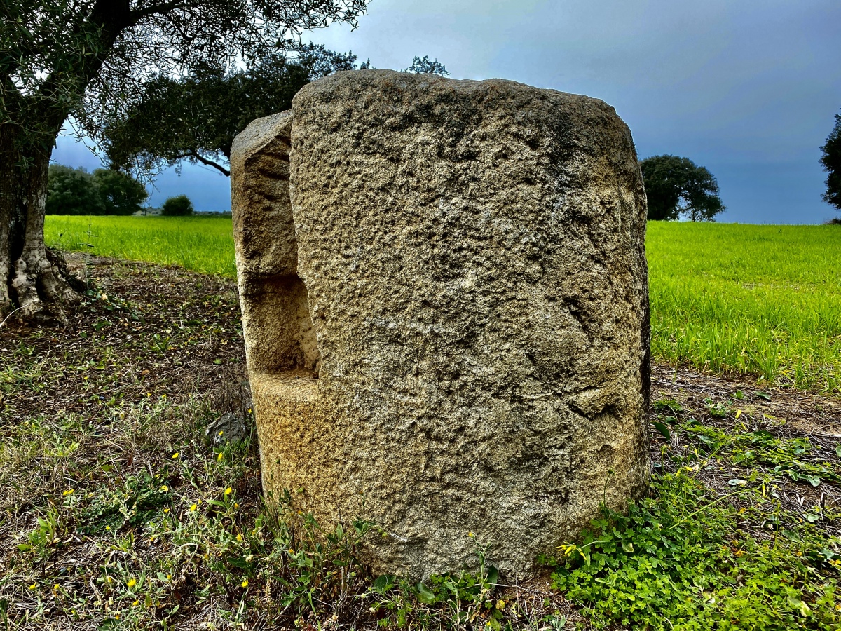 Roman Olive Oil Press Sculptured Stone : The Megalithic Portal and ...