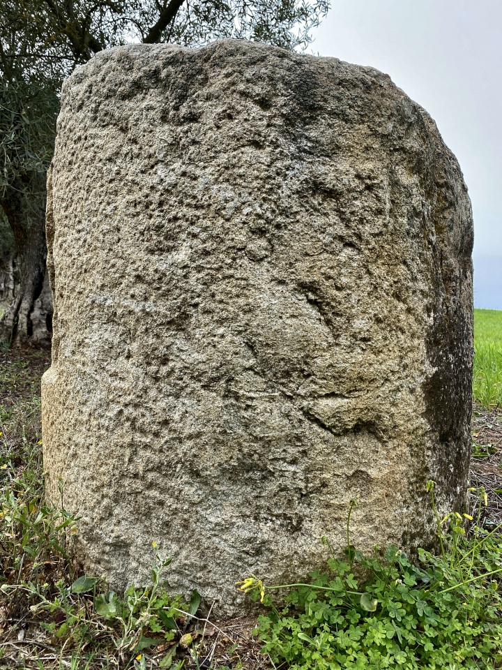 Roman Olive Oil Press | Megalithic Portal