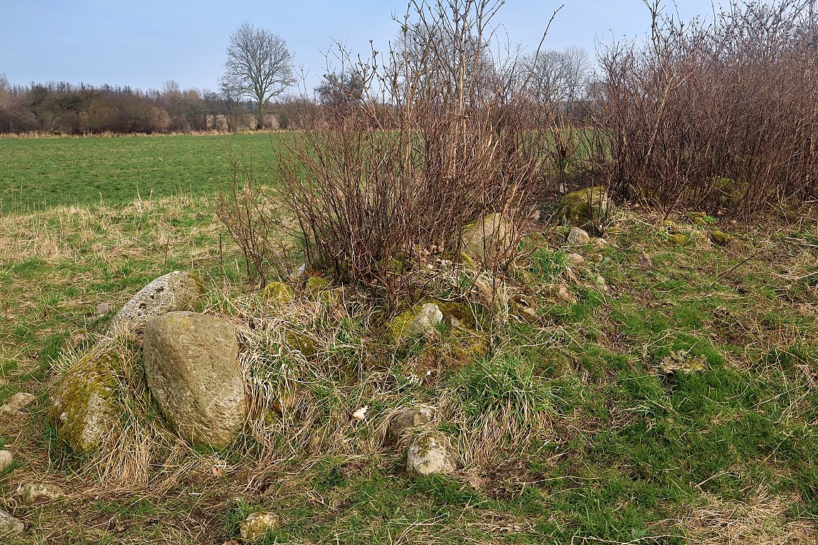Barritskov Stenbygget Grav Burial Chamber or Dolmen : The Megalithic ...