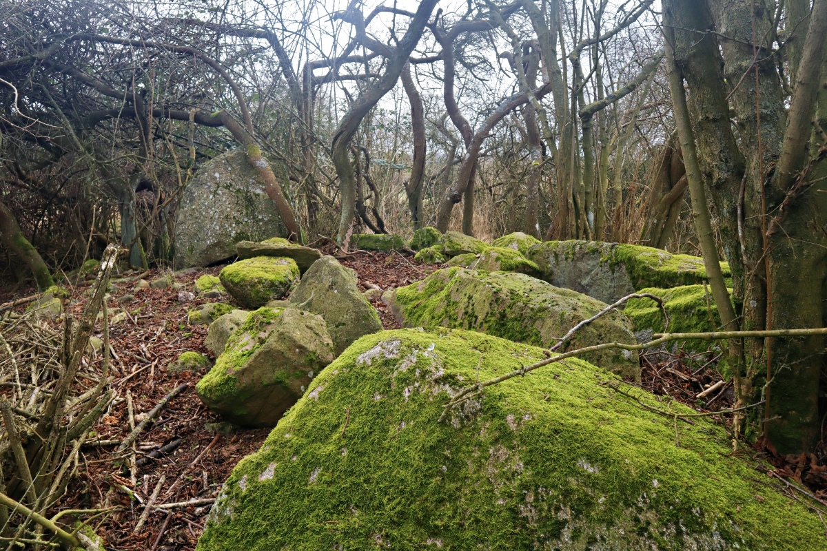 World-wide Ancient Site Database, Photos and Prehistoric Archaeology ...