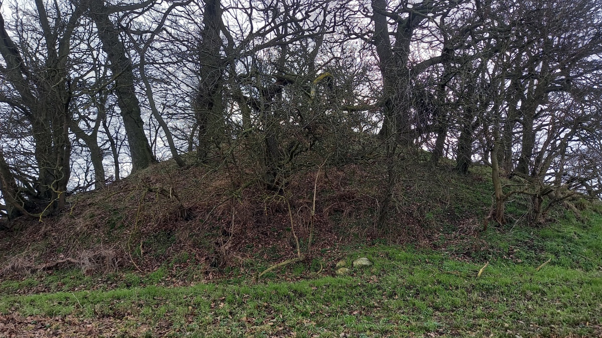 Sønder Frenderup Rundhøj 1 Round Barrow(s) : The Megalithic Portal and ...