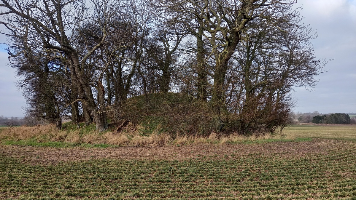 Sønder Frenderup Rundhøj 1 Round Barrow(s) : The Megalithic Portal and ...
