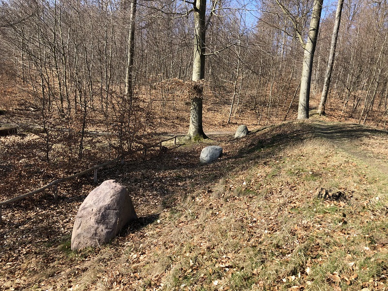 Store Hareskov Langdysse [Afd.164, Skovbrynet Harrehøj] Long Barrow ...