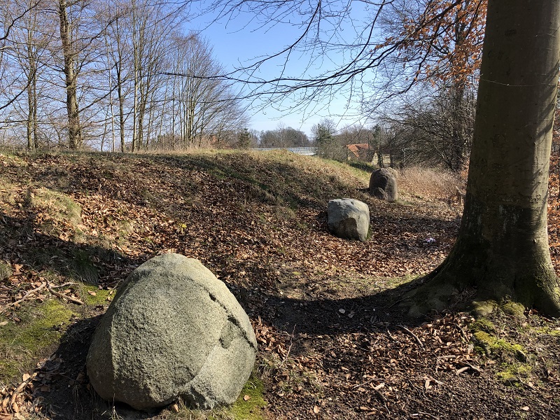 Store Hareskov Langdysse [Afd.164, Skovbrynet Harrehøj] Long Barrow ...